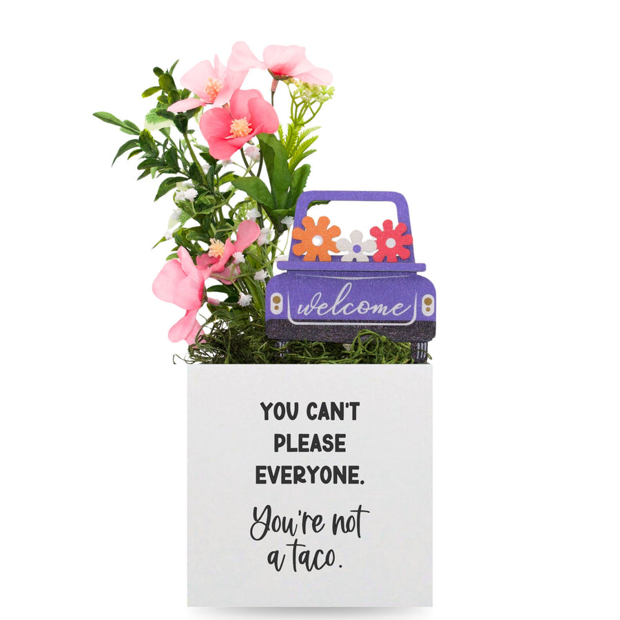 Little Envy You Aren't a Taco Box - Charcoal / White - Entry Envy